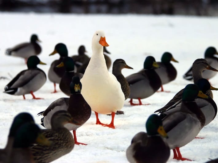 Sales Job Interview Answers That Make You Stand Out